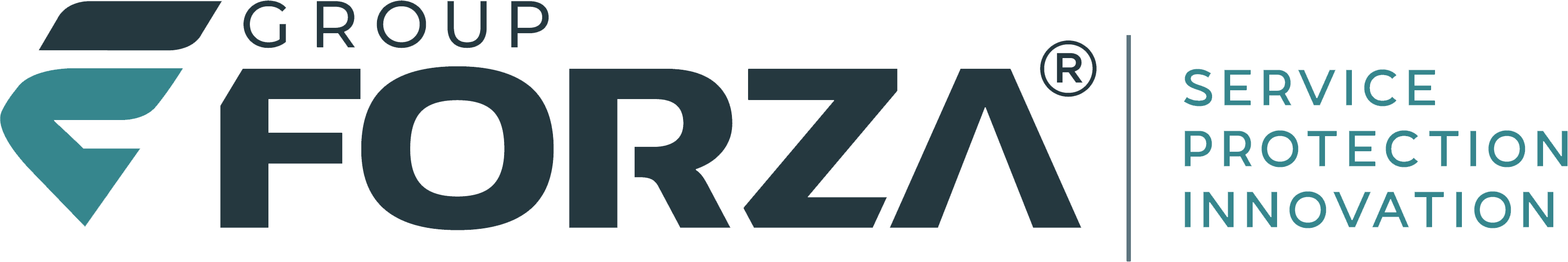 Group Forza